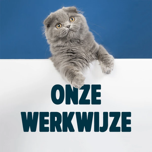 Onze werkwijze - Marketing Digitaal